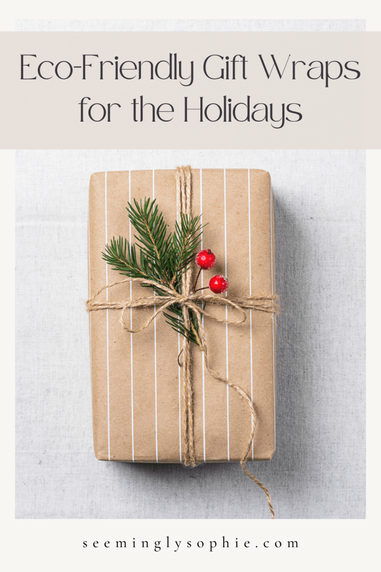 7 Eco-Friendly Gift Wrapping Ideas – Seemingly Sophie